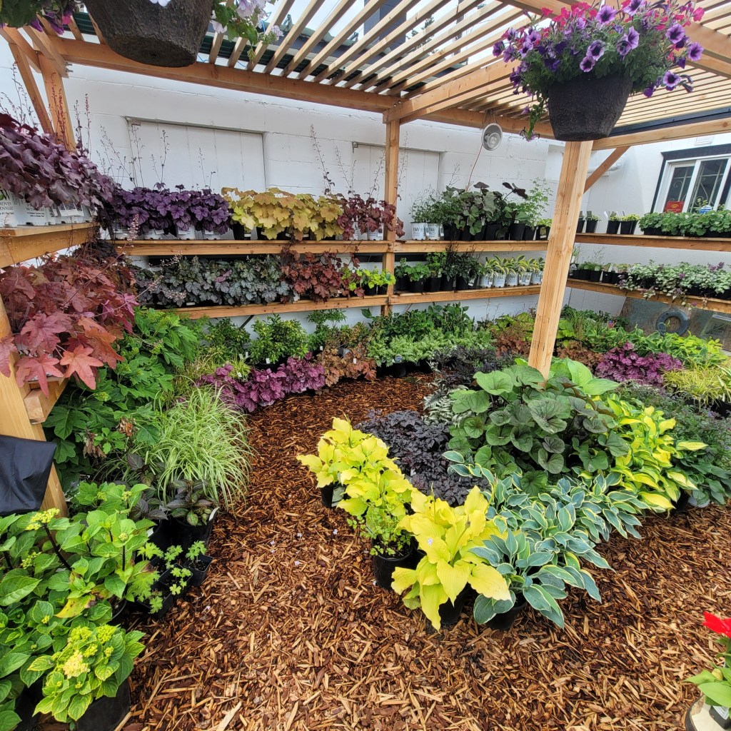 The Eclectic Cottage – Blossoms, Vines and Vintage Finds